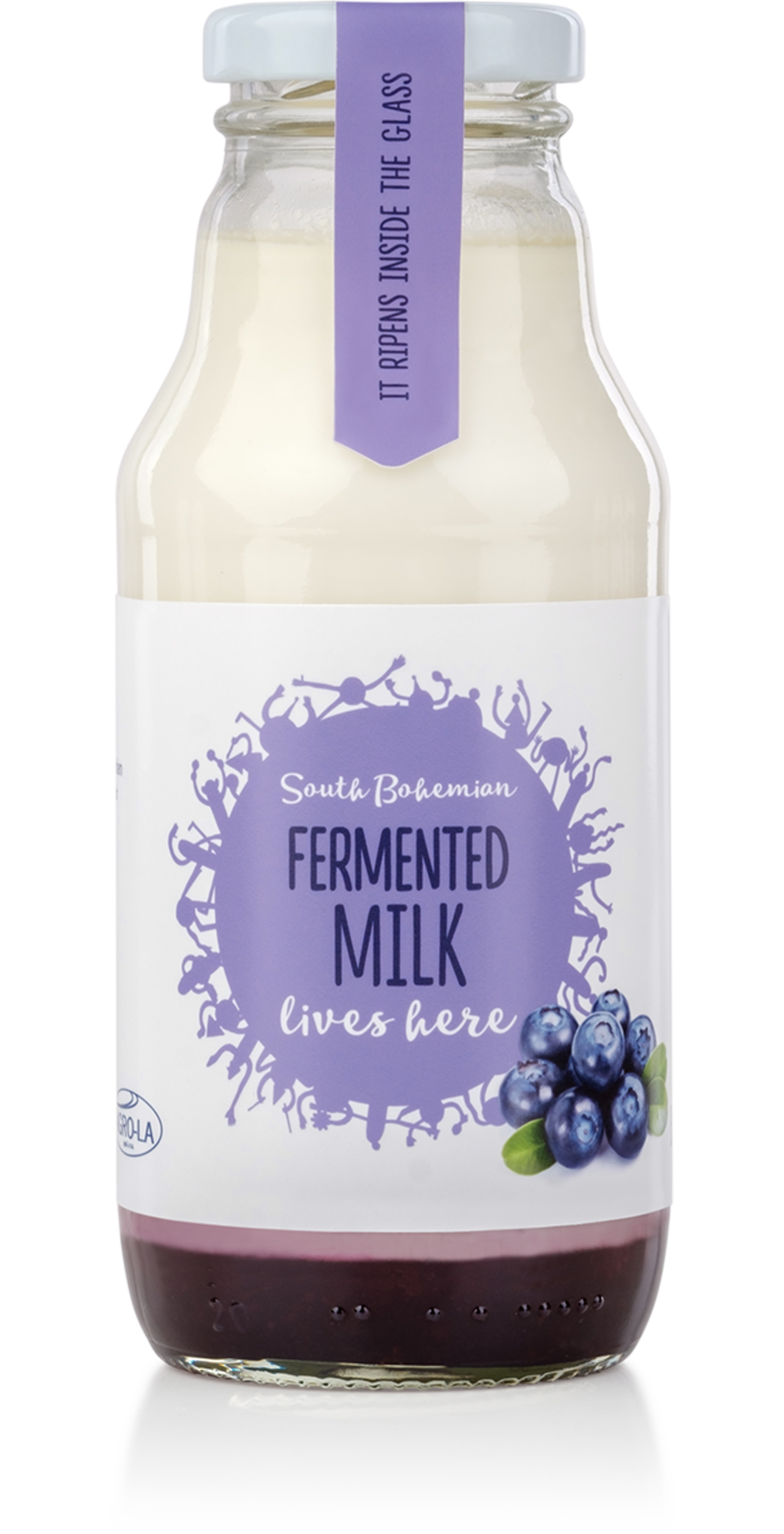 FERMENTED MILK BLUEBERRY – Agrola