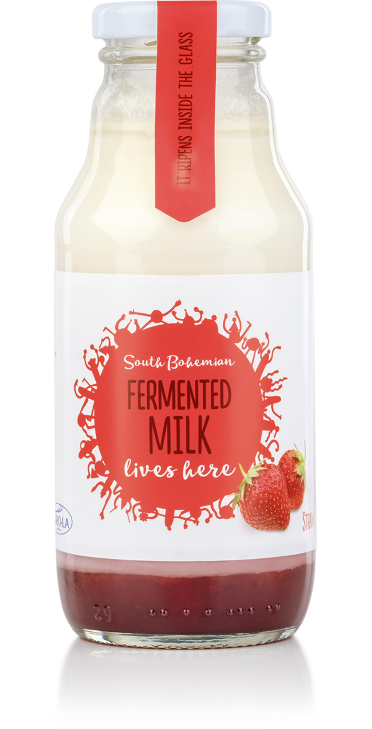 FERMENTED MILK STRAWBERRY – Agrola