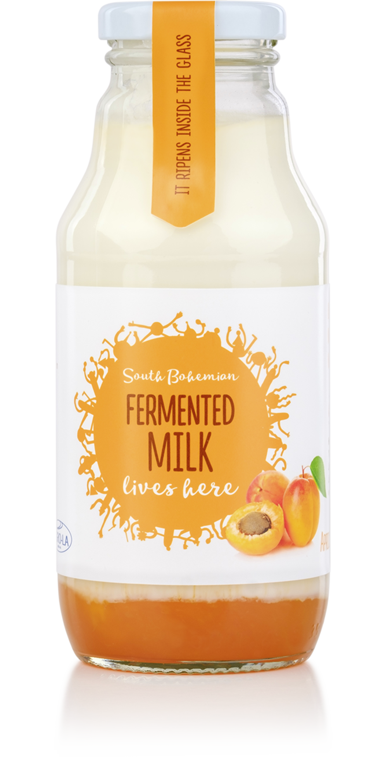 FERMENTED MILK APRICOT – Agrola